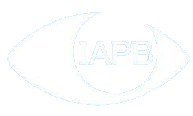 IAPB eye health technology guide